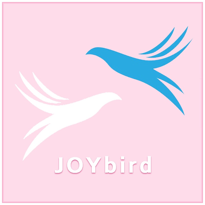 JOYbird Official Store in the Philippines, Online Shop 05 2025