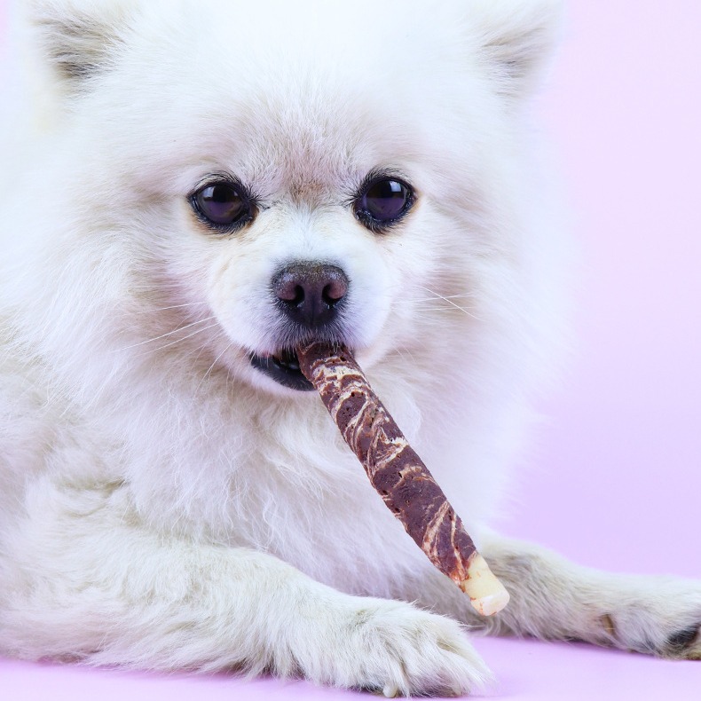 Shop online with yan pet store now! Visit yan pet store on Lazada.