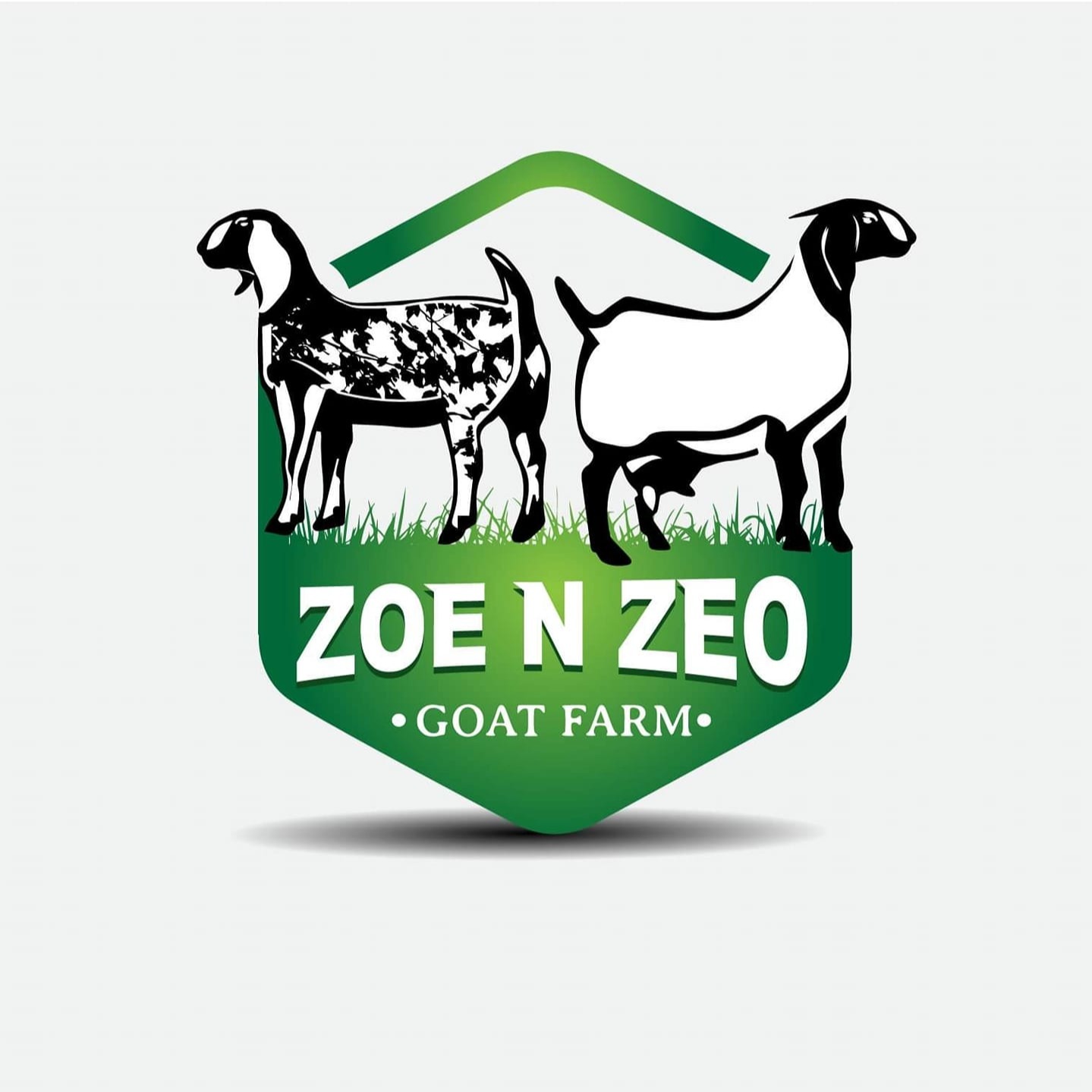 Shop at Zoe N Zeo Farm Supply with great deals online | lazada.com.ph