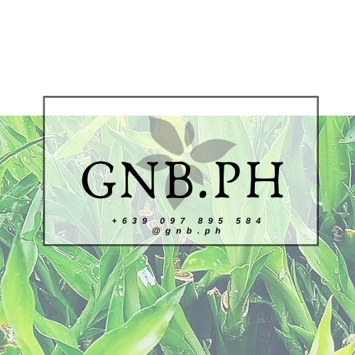 GNB.PH PLANTS AND FLOWER SHOP Official Store in the Philippines, Online ...