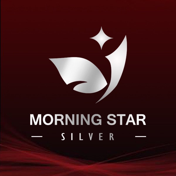 Morningstar jewelry Philippines Official Online Store | Shop Now on Lazada