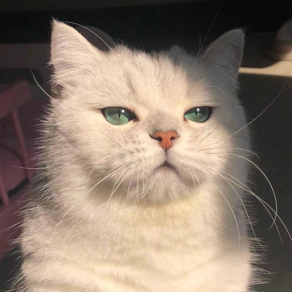 Shop online with QXH - Household products now! Visit QXH - Household ...