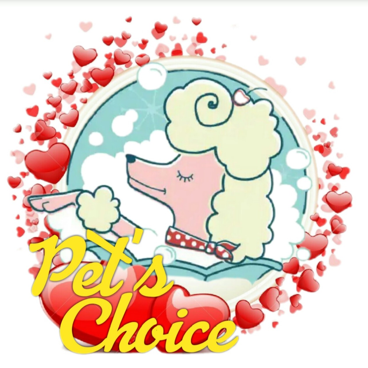 Pet's Choice Philippines Official Online Store | Shop Now on Lazada