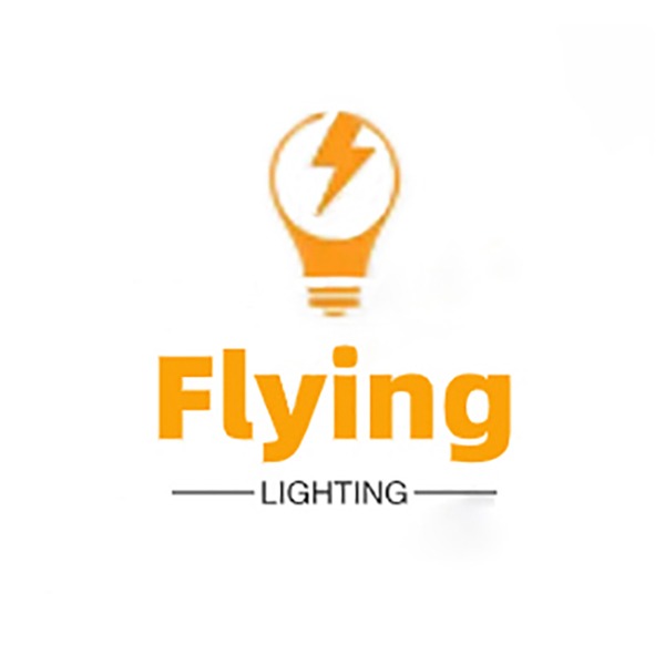 Flying Lighting Official Store in the Philippines, Online Shop 05 2025