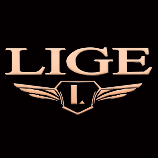Shop online with LIGE Fashion Watch now! Visit LIGE Fashion Watch on ...