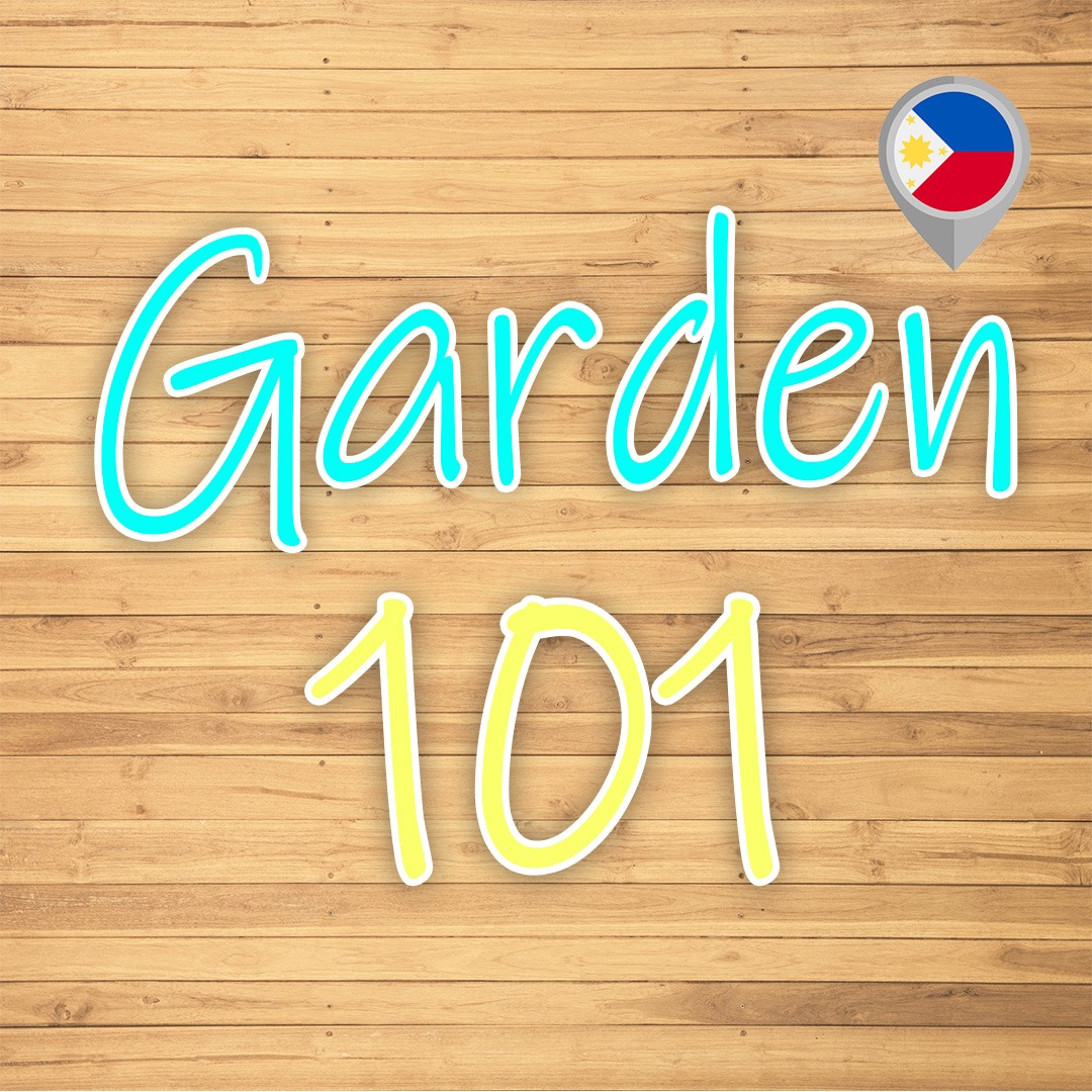 Shop online with Garden 101 PH now! Visit Garden 101 PH on Lazada.