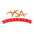 YSA Botanica Official Store in the Philippines, Online Shop 02 2025