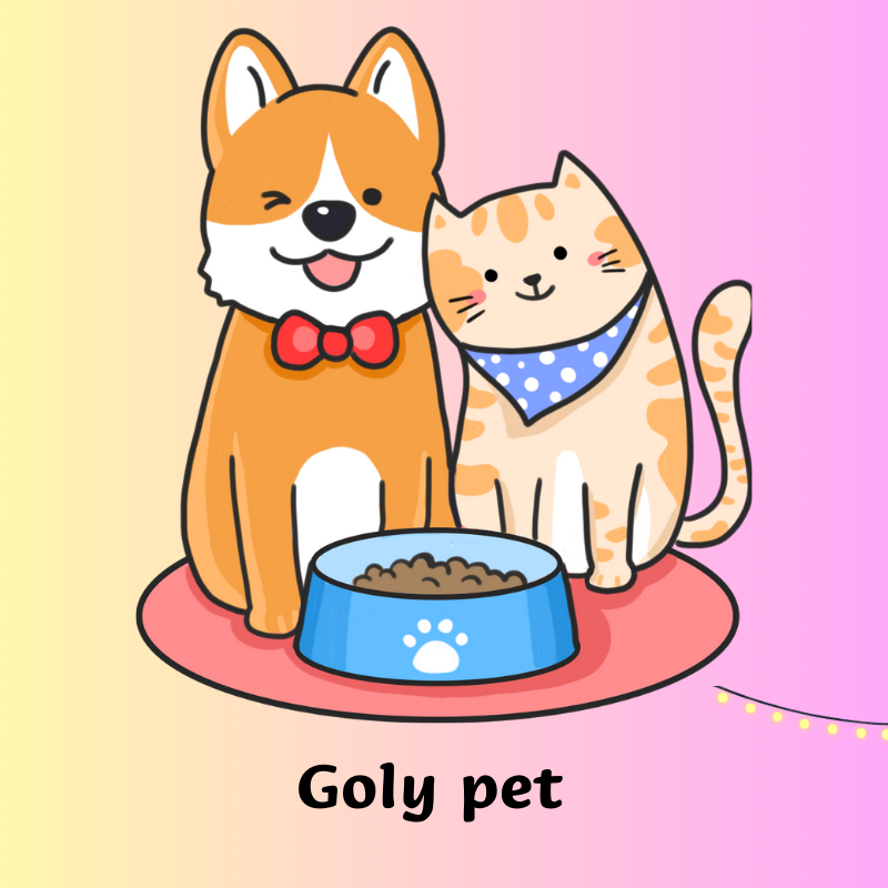 Goly pet.shop Official Store in the Philippines, Online Shop 03 2025