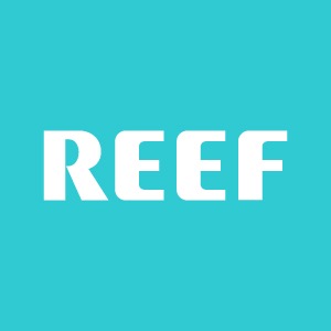 Reef PH Philippines Official Online Store | Shop Now on Lazada