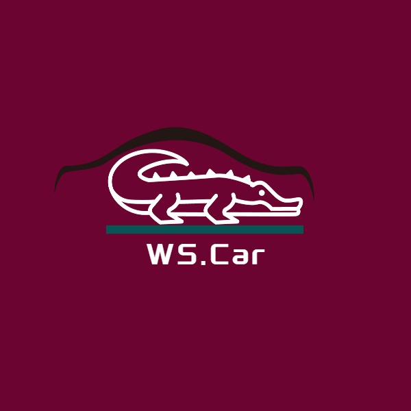 WS.Car Philippines Official Online Store | Shop Now on Lazada