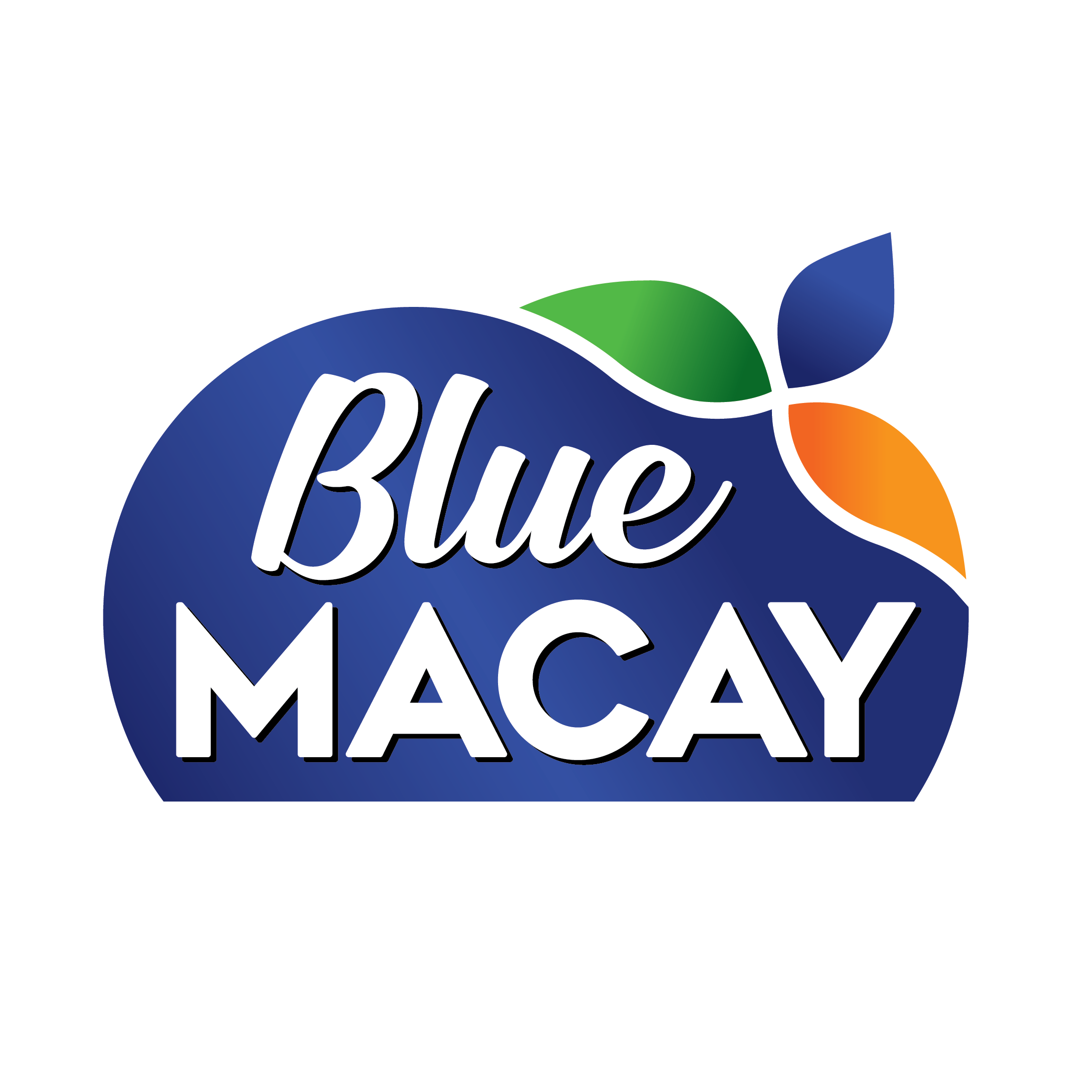 BLUE MACAY FOOD 1627549579 Official Store in the Philippines, Online ...