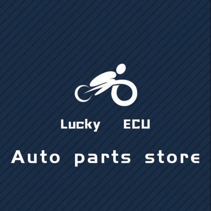 Shop online with lucky (ECU and turbocharger repair kit parts) auto now ...