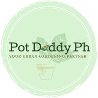 Shop at Pot Daddy PH | lazada.com.ph