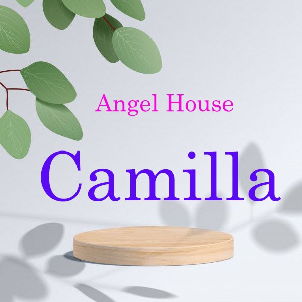 Shop at Camilla Angel House with great deals online | lazada.com.ph