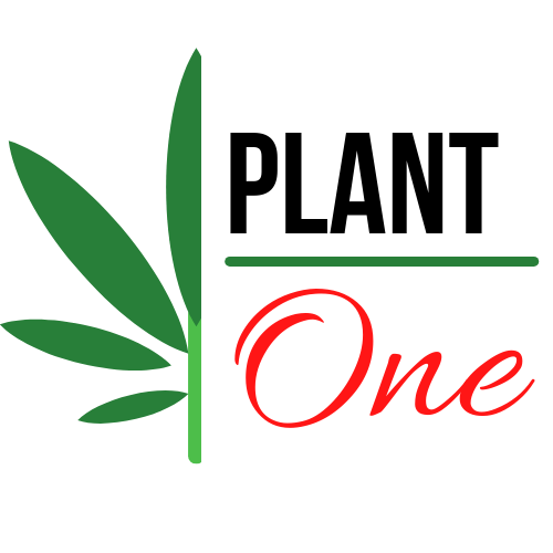 Shop online with Plant One VIP now! Visit Plant One VIP on Lazada.