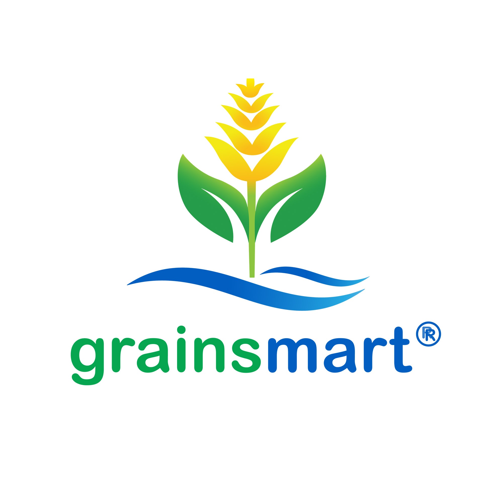 Grainsmart Rice Philippines Official Online Store | Shop Now on Lazada