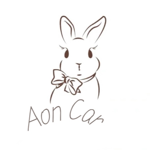 Shop online with Aon Car now! Visit Aon Car on Lazada.