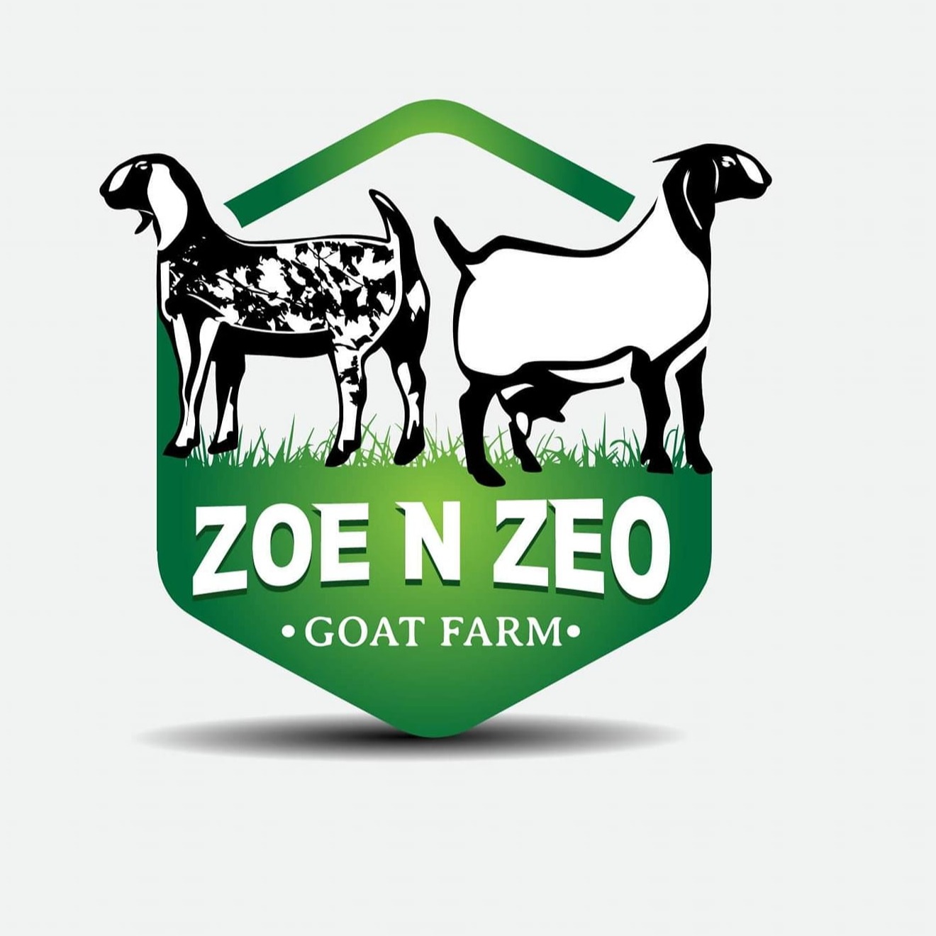 Zoe N Zeo Goat & Farm Animals Supplies Philippines Official Online ...