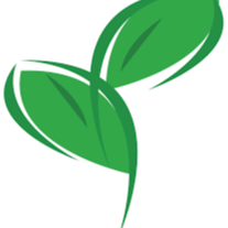 Healthy Leaf Wellness Philippines Official Online Store | Shop Now on ...