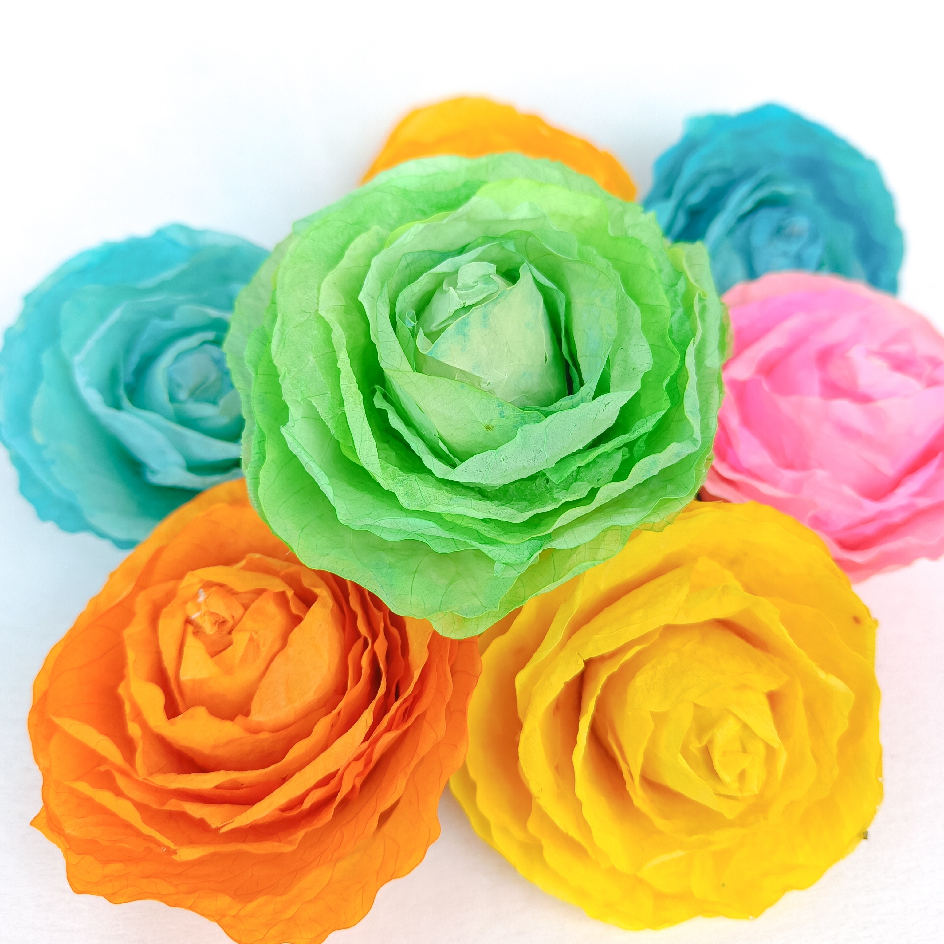 GL Dried Flowers PH Philippines Official Online Store | Shop Now on Lazada