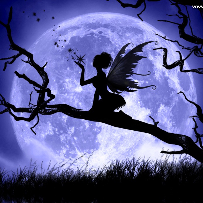 Moonlight Shop 18 Official Store in the Philippines, Online Shop 09 2024