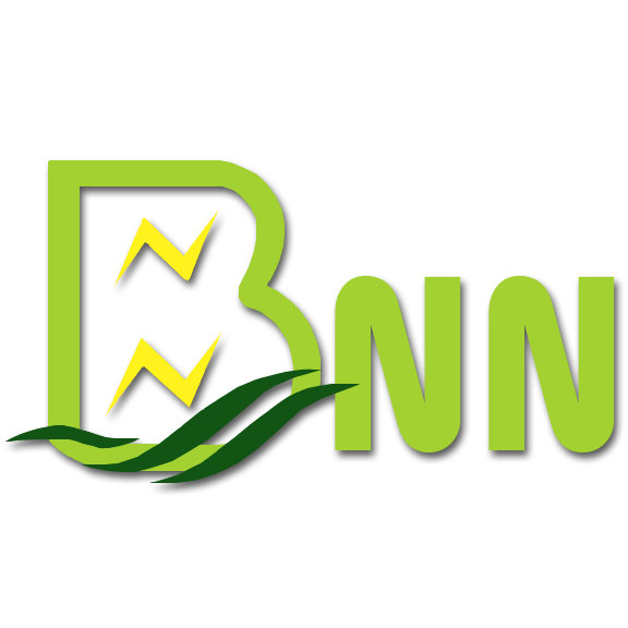 BNN-OFFICIAL.PH Philippines Official Online Store | Shop Now on Lazada