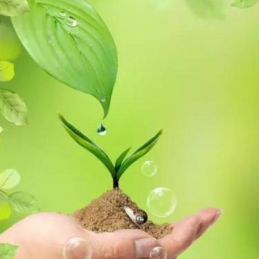 Shop online with sodm now! Visit sodm on Lazada.