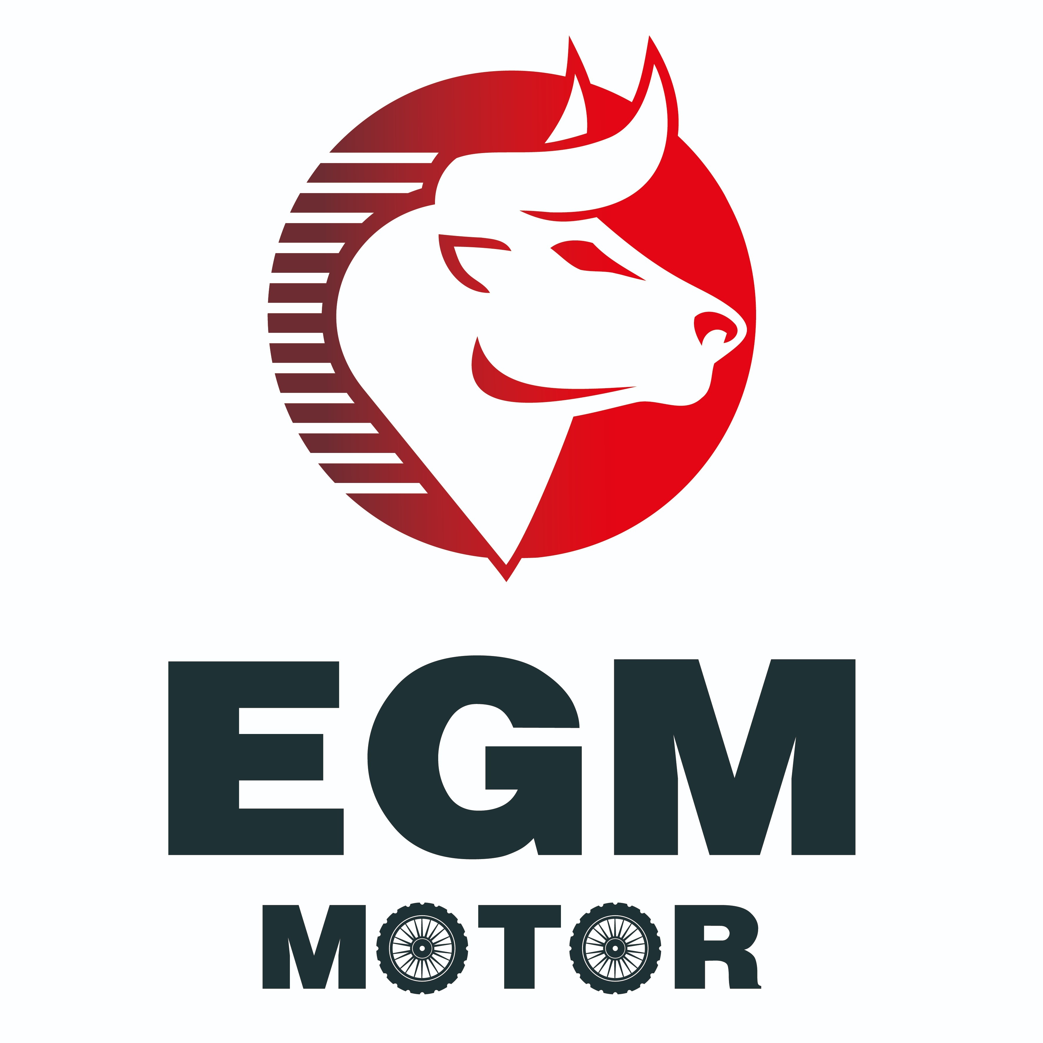 Shop online with EGM motorcycle now! Visit EGM motorcycle on Lazada.