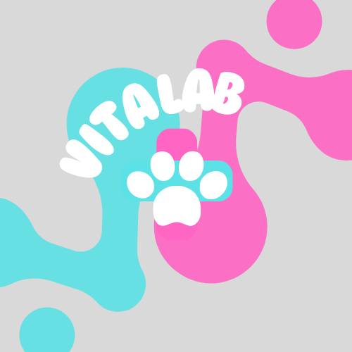 VITA LAB Official Store in the Philippines, Online Shop 05 2025