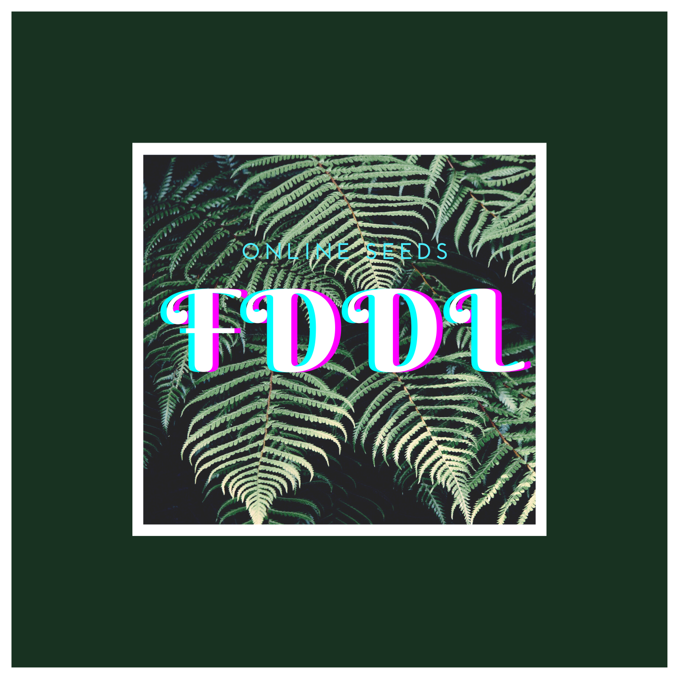 FDDL Official Store in the Philippines, Online Shop 10 2024