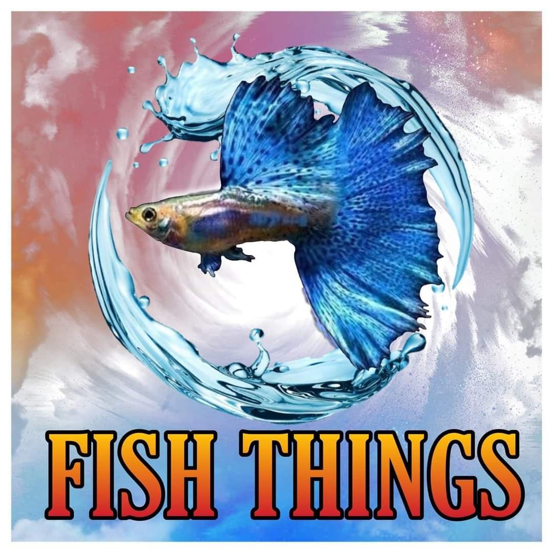 Shop online with Fish Things now! Visit Fish Things on Lazada.