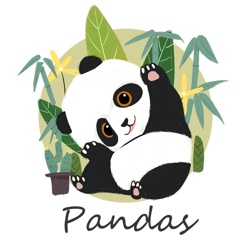 Pandas-PH Official Store in the Philippines, Online Shop 05 2025