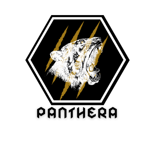 PANTHERA MOTO Philippines Official Online Store | Shop Now on Lazada