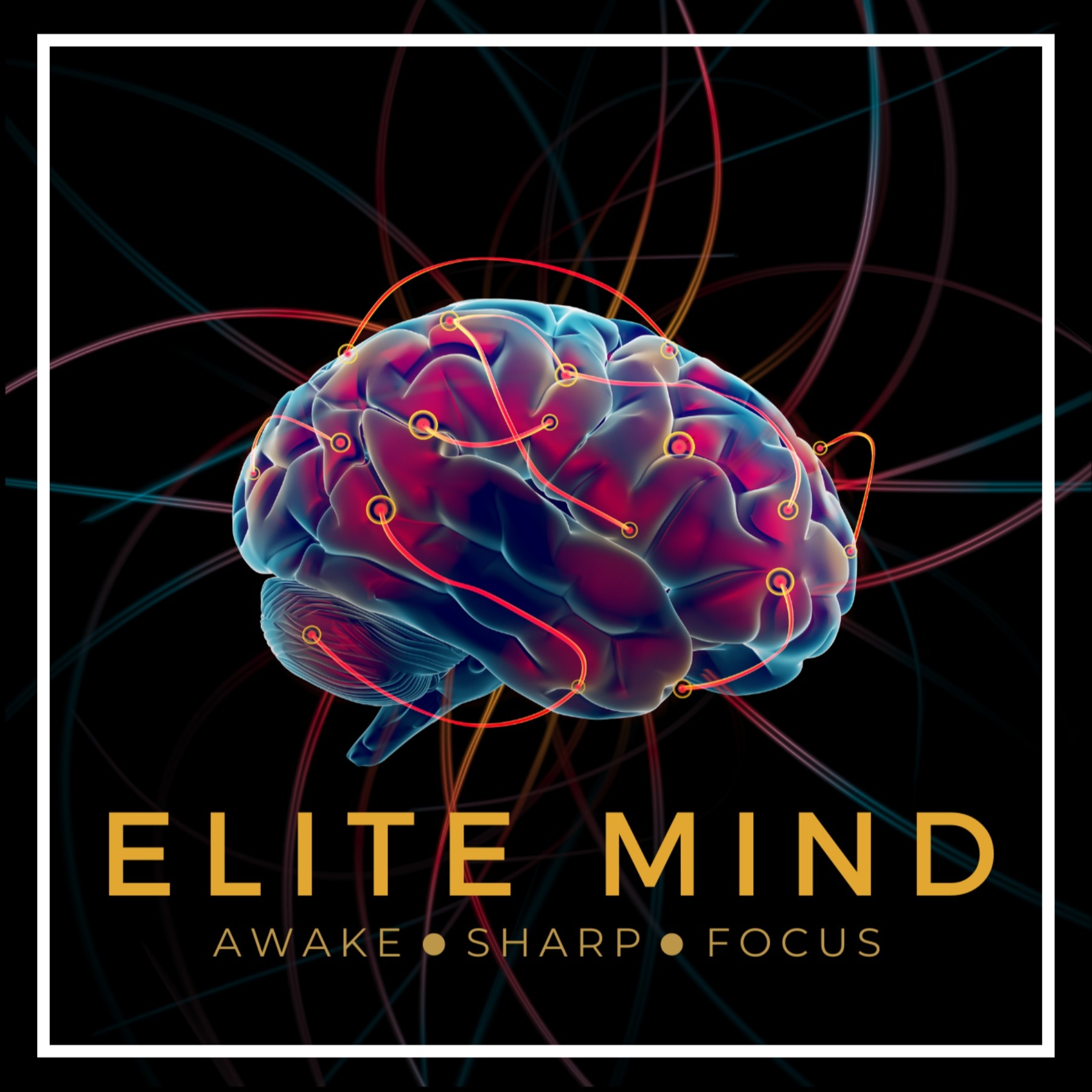 Shop online with Elite Mind II now! Visit Elite Mind II on Lazada.