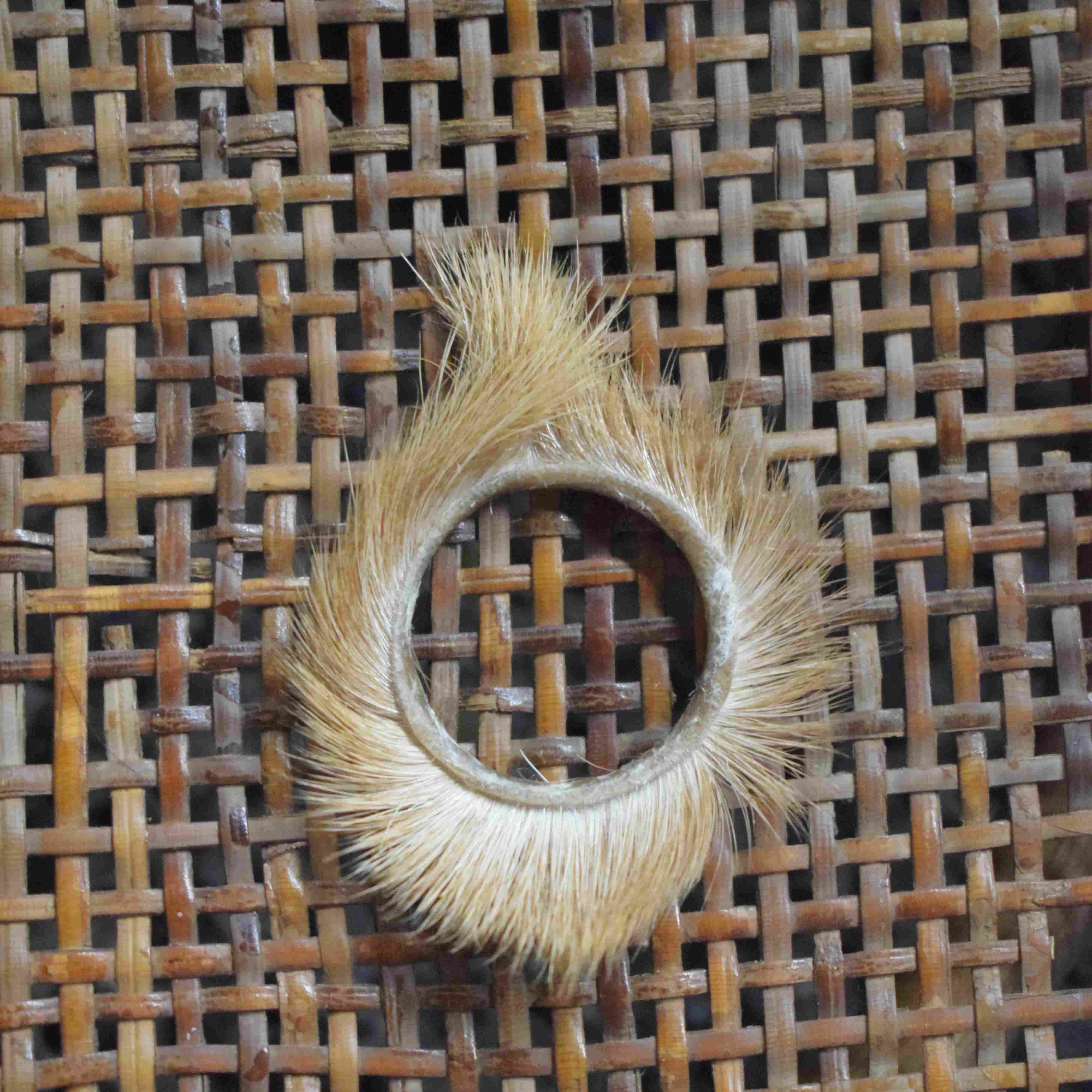 Shop online with pilik mata ng kambing now! Visit pilik mata ng kambing ...