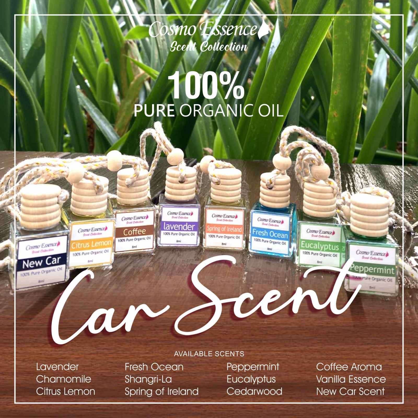 Cosmo Essence Scent Collection Official Store in the Philippines ...