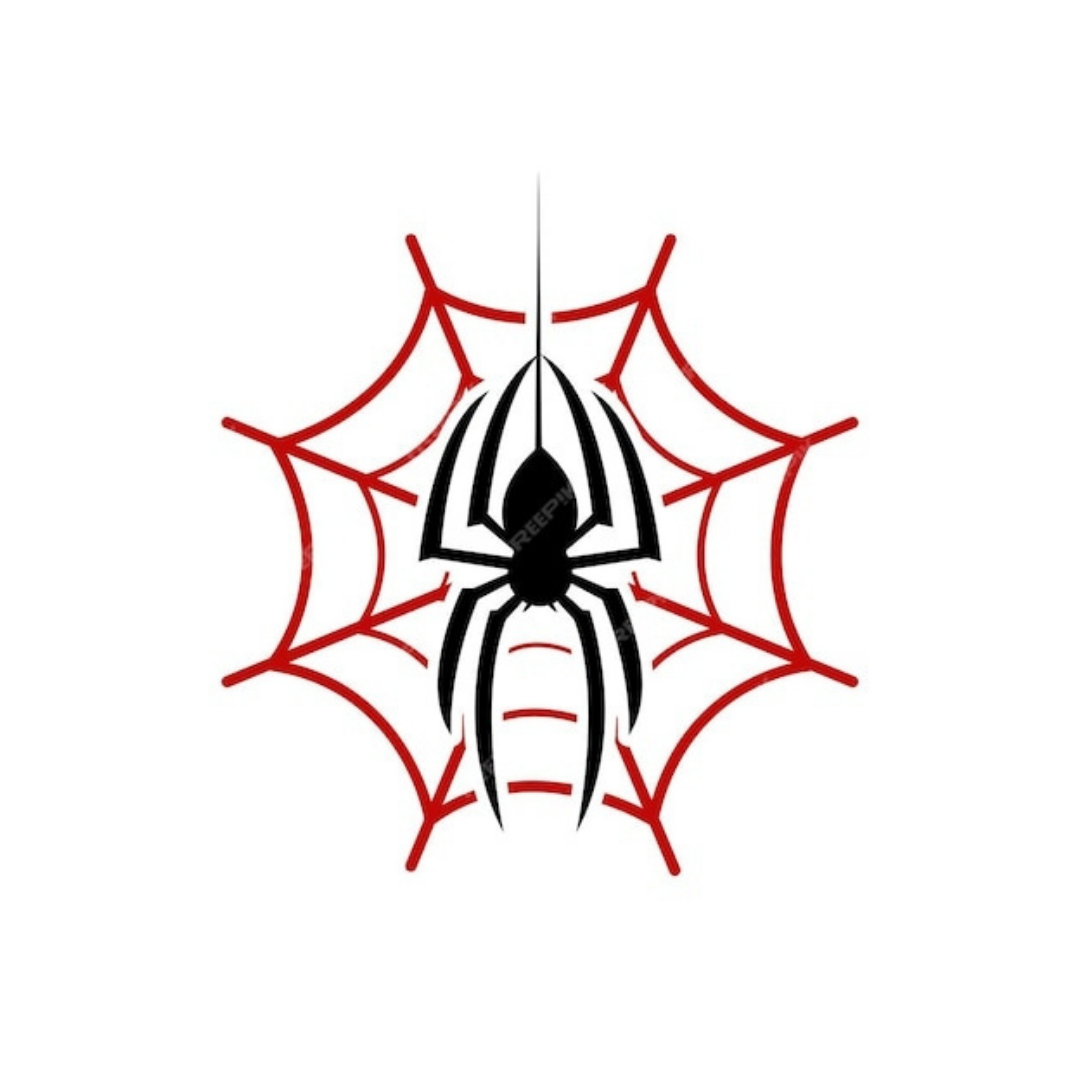 Spider.Mall Official Store in the Philippines, Online Shop 05 2025