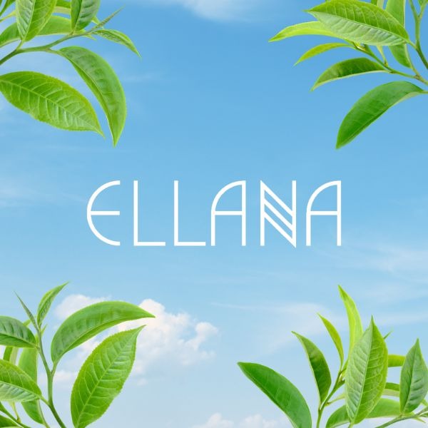 Ellana Official Store in the Philippines, Online Shop 12 2024
