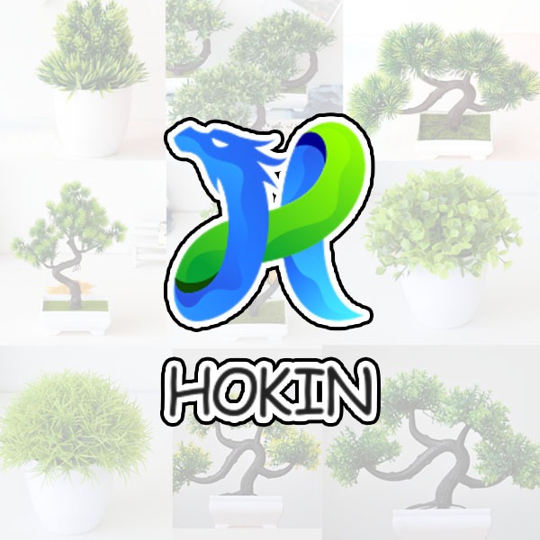 Hokin Official Store in the Philippines, Online Shop 04 2025