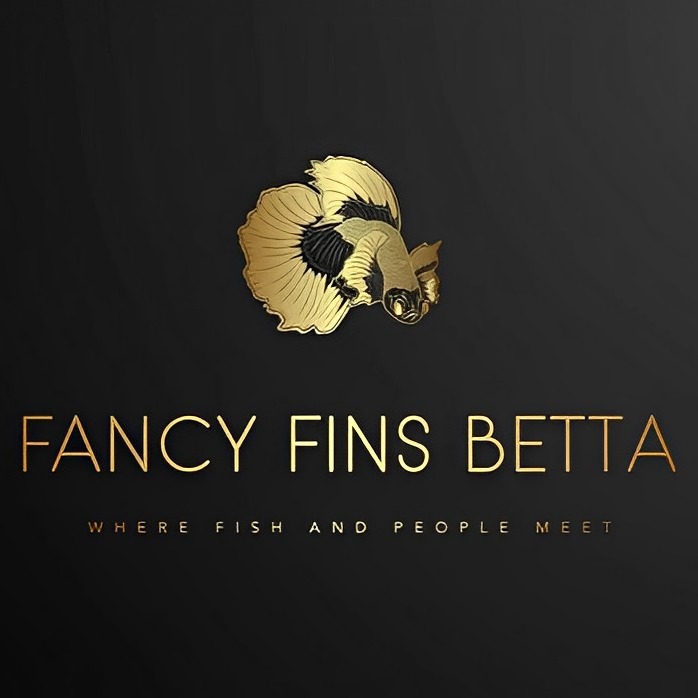 Shop online with Fancy Fins Betta now! Visit Fancy Fins Betta on Lazada.
