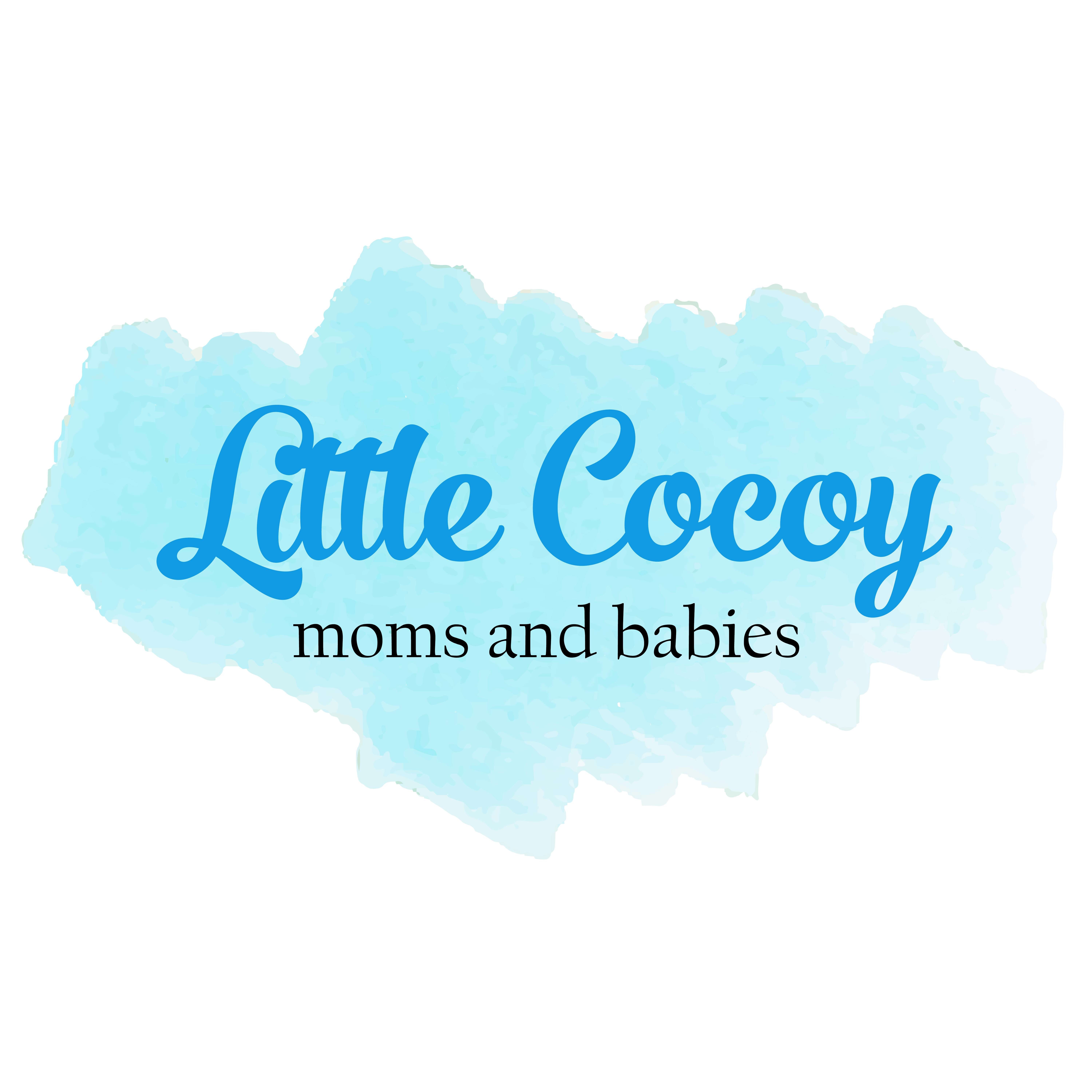 Little Cocoy Official Store in the Philippines, Online Shop 04 2025