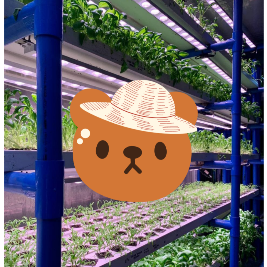 Veggie Bear Philippines Official Online Store | Shop Now on Lazada