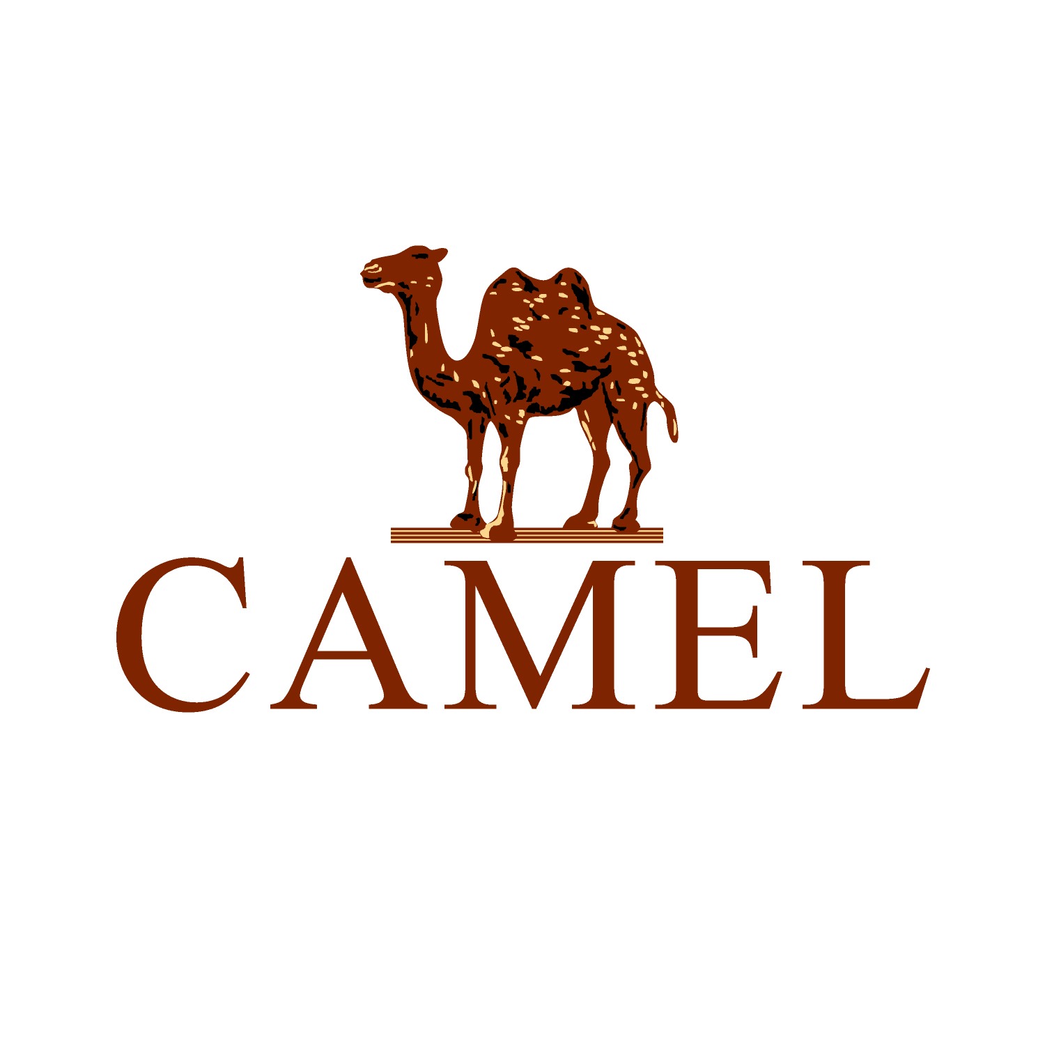 Camel Flagship Store Philippines Official Online Store | Shop Now on Lazada