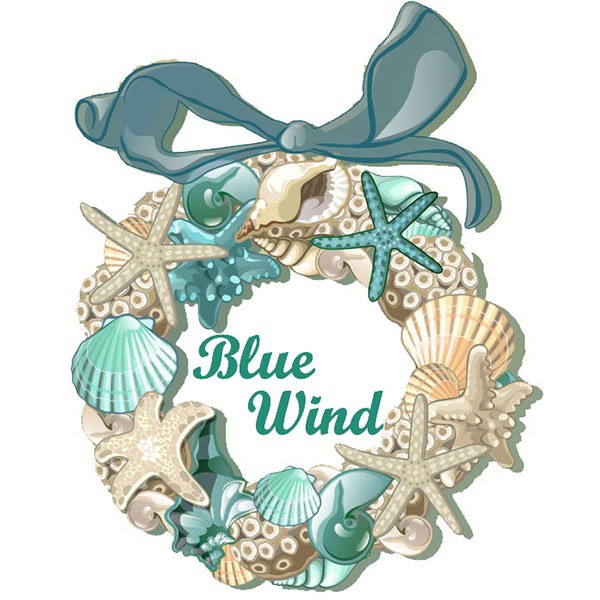 Shop online with Blue Wind Store now! Visit Blue Wind Store on Lazada.