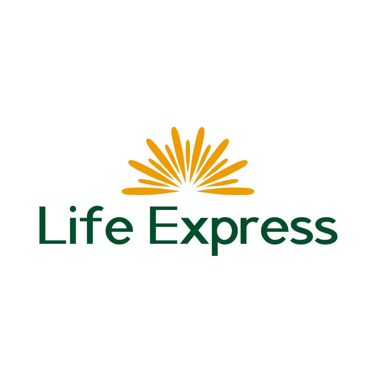 Life express Official Store in the Philippines, Online Shop 04 2025