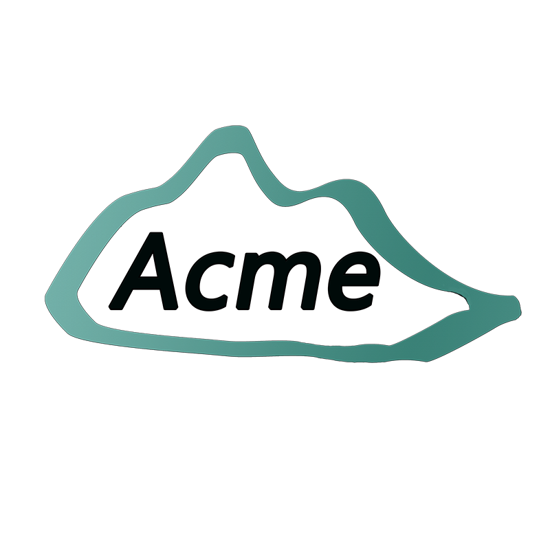 ACME Toys Philippines Official Online Store | Shop Now on Lazada