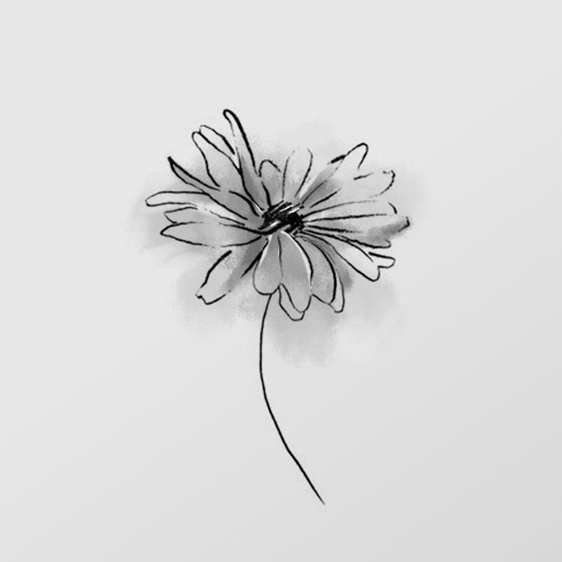 Shop online with daisyyy now! Visit daisyyy on Lazada.