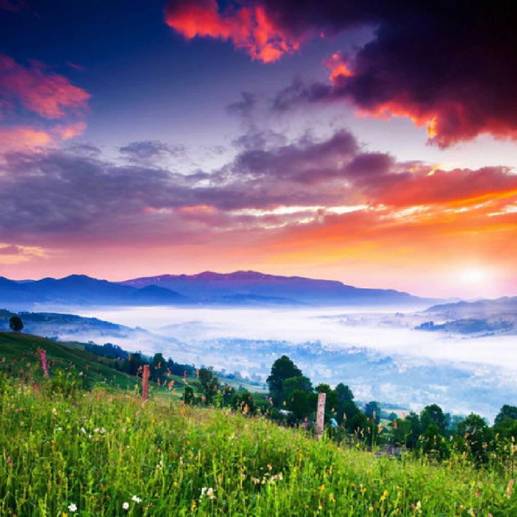 DFRHNGYJKMH Official Store in the Philippines, Online Shop 10 2024