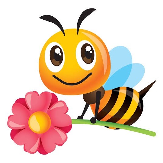 Shop online with Bee Wise now! Visit Bee Wise on Lazada.