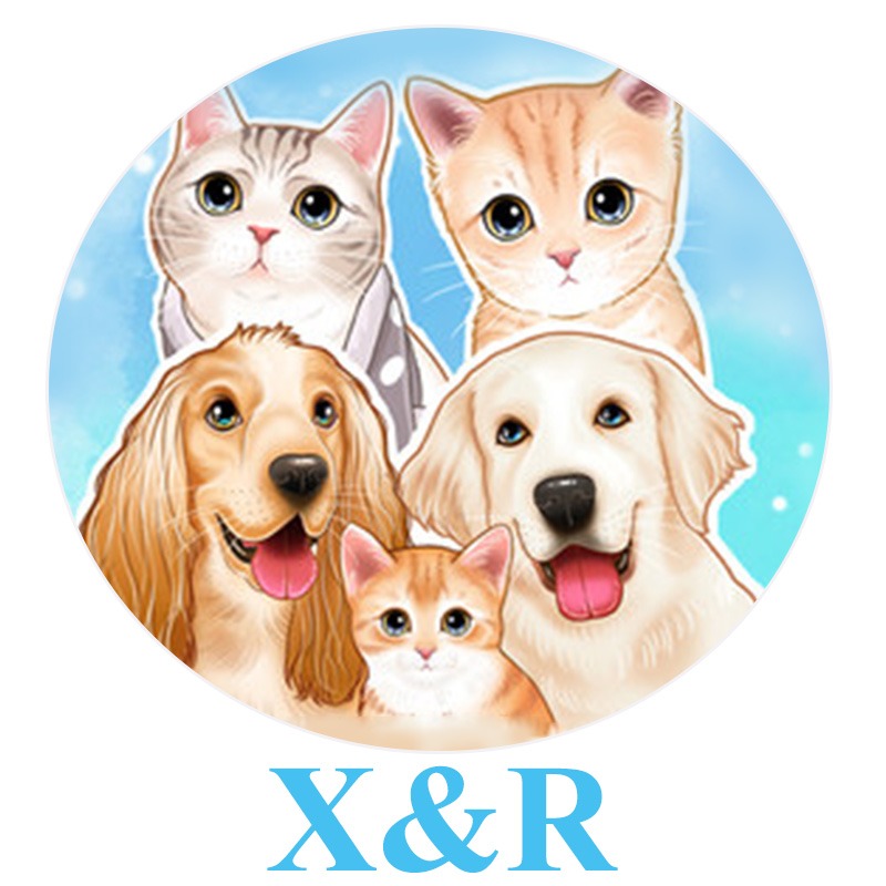 X&R Official Store in the Philippines, Online Shop 01 2025